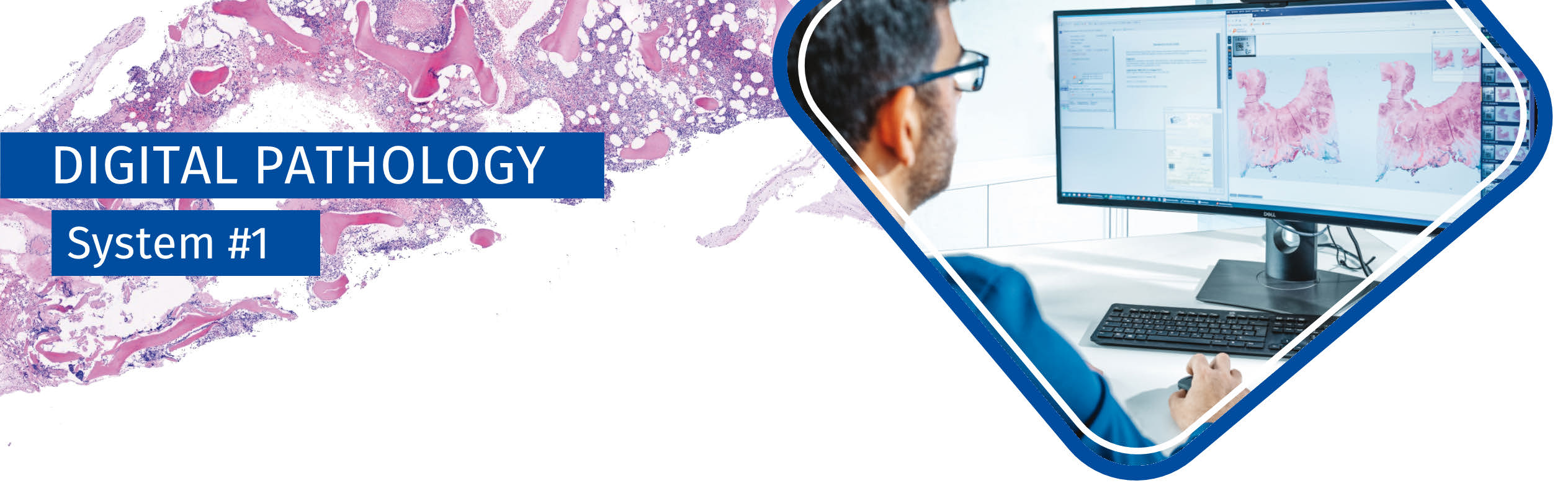 Smart In Media AG – Your specialist partner for digital pathology