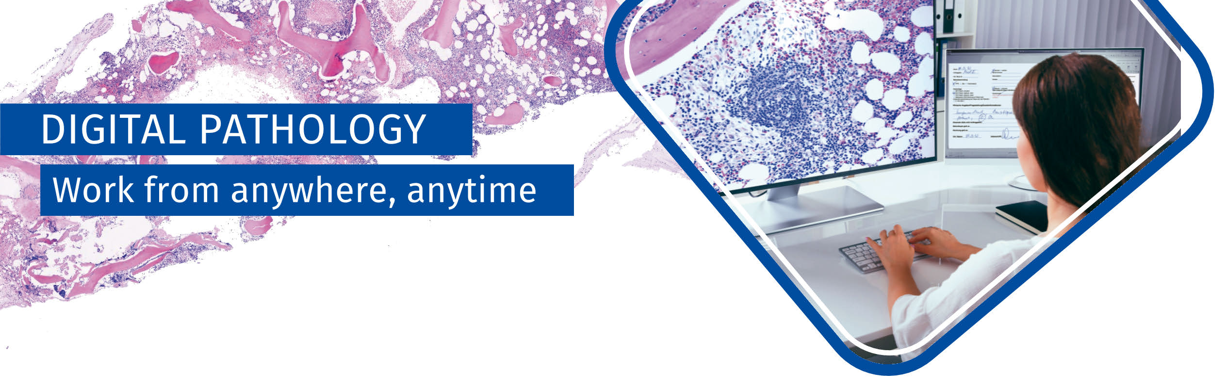 Smart In Media AG – Your specialist partner for digital pathology